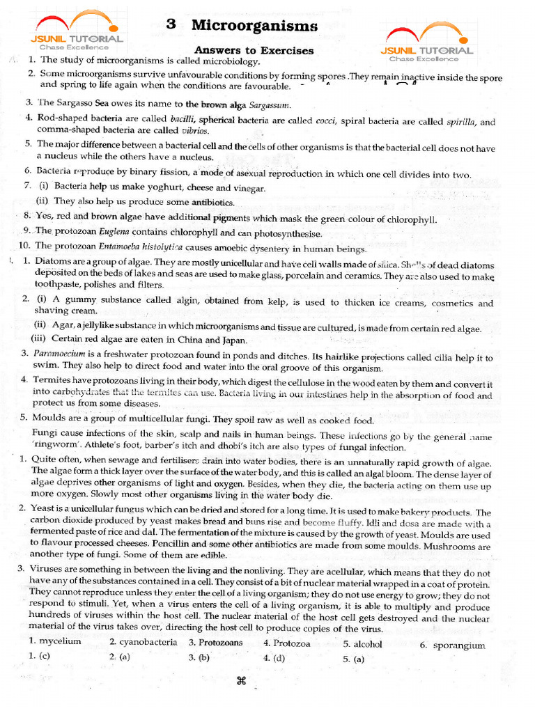 8th Micro Organism Basic Sciece Solution | PDF