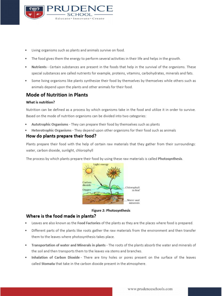 G7 CH1 Nutrition in Plants - Notes 2 | PDF | Nutrition | Diet & Nutrition