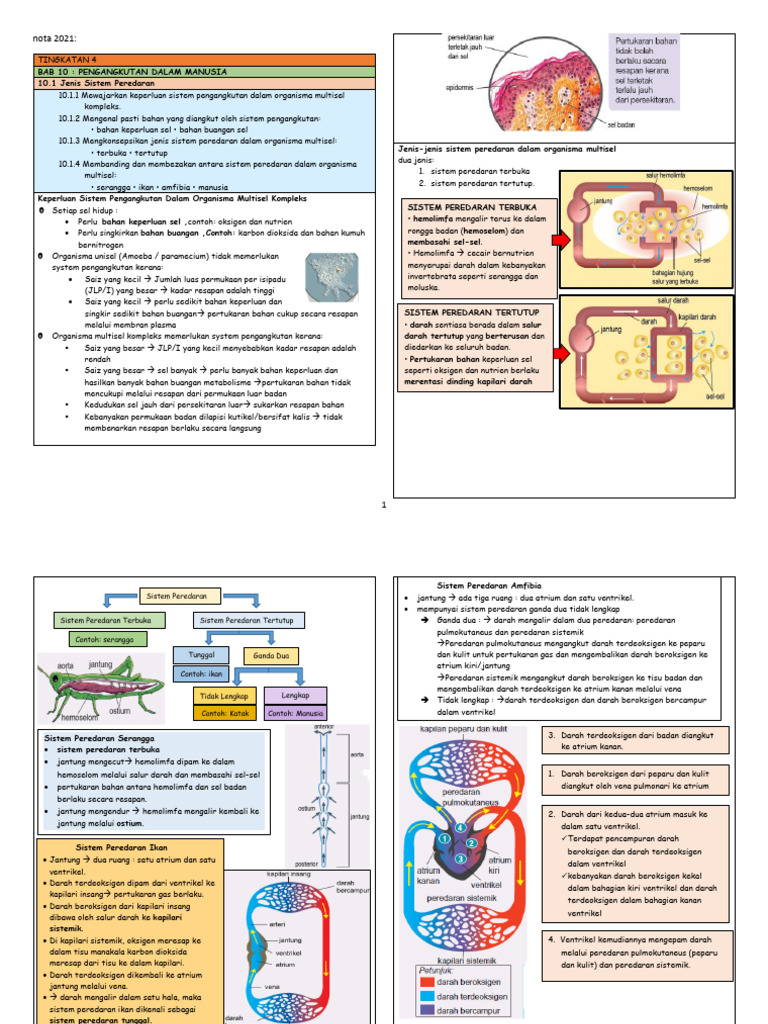 SEMAK NOTA Cepat2021bab 10 Stress (B) 8f Siap | PDF