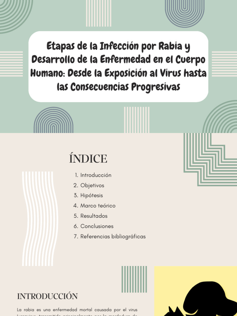 Etapas de La Infección Por Rabia y Desarrollo de La Enfermedad en El ...