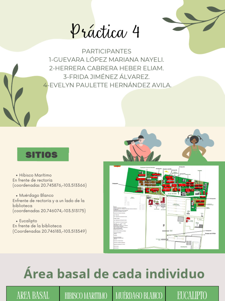 Práctica 4 Equipo 4 | PDF