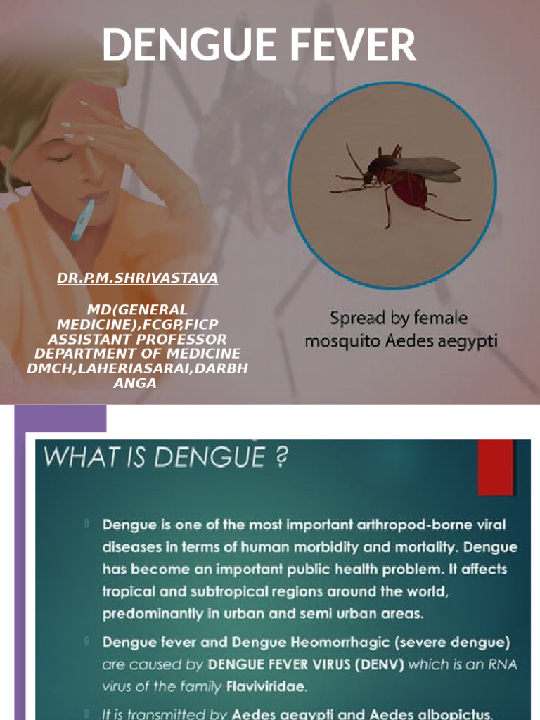 Dengue Fever | PDF