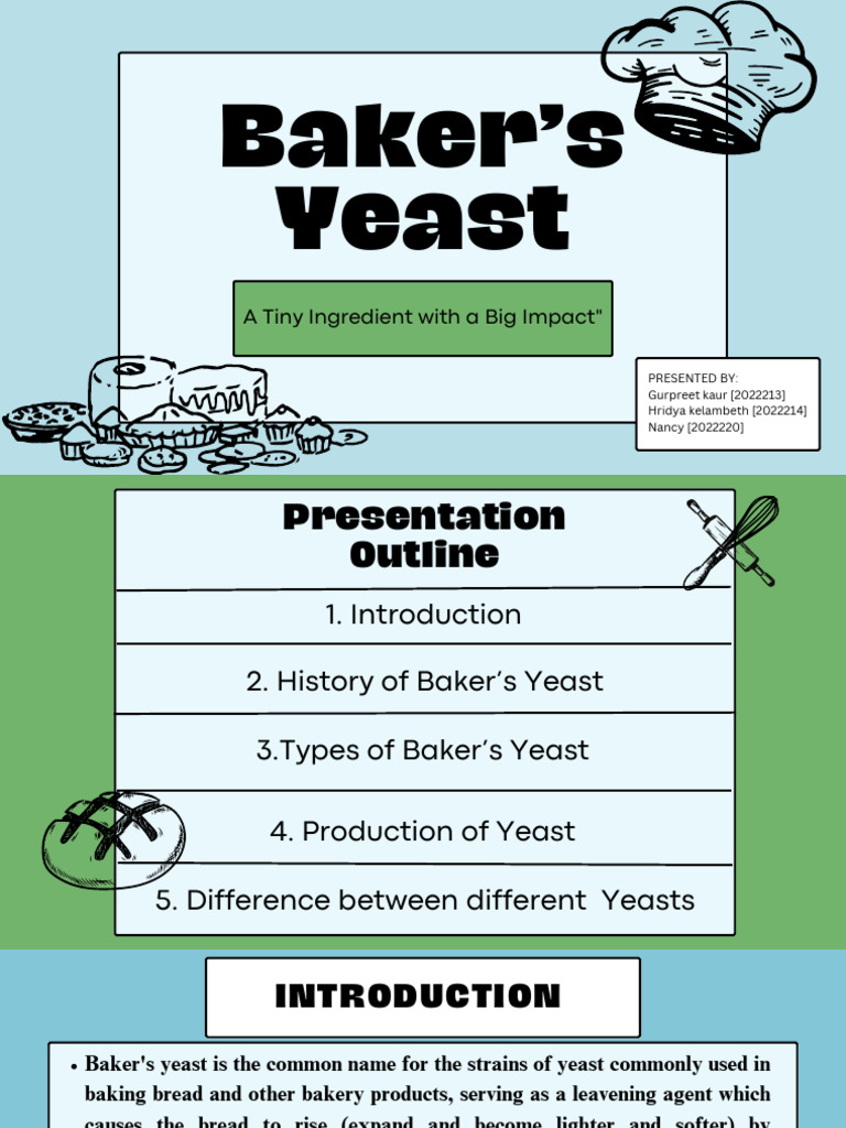 PPT Baker's Yeast | PDF | Yeast | Fermentation