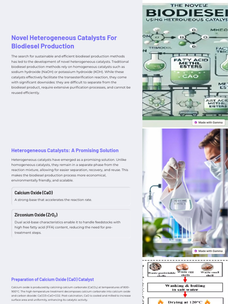 Novel Heterogeneous Catalysts For Biodiesel Production | PDF ...