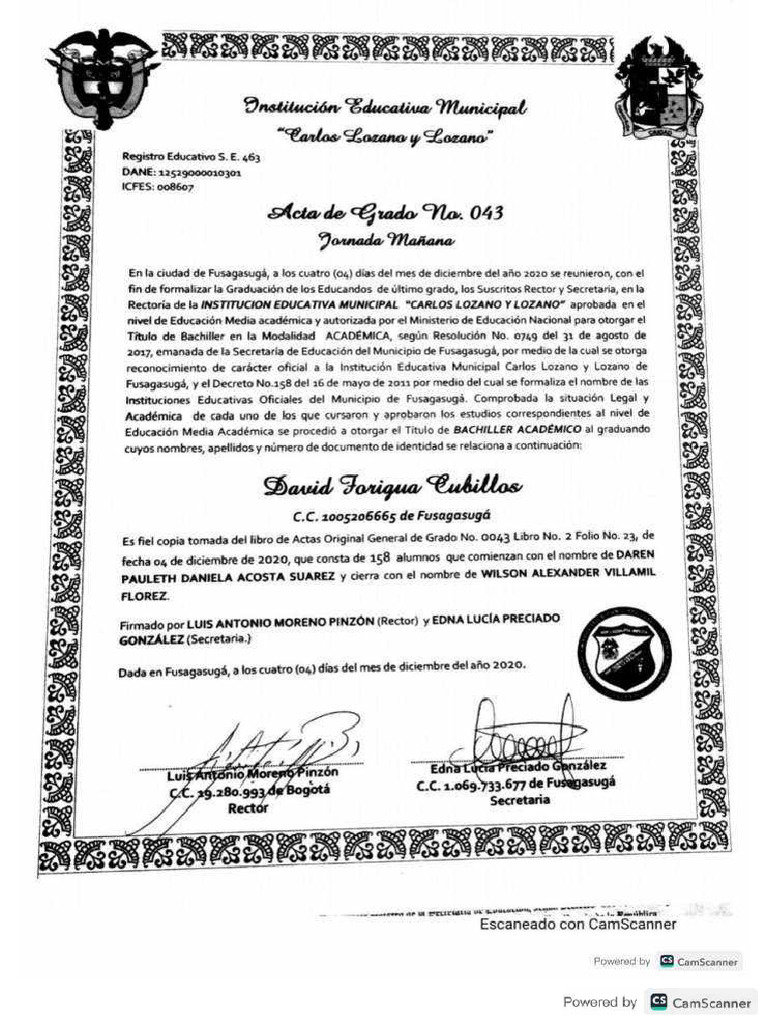 Acta Grado Compressed Comprimido | PDF