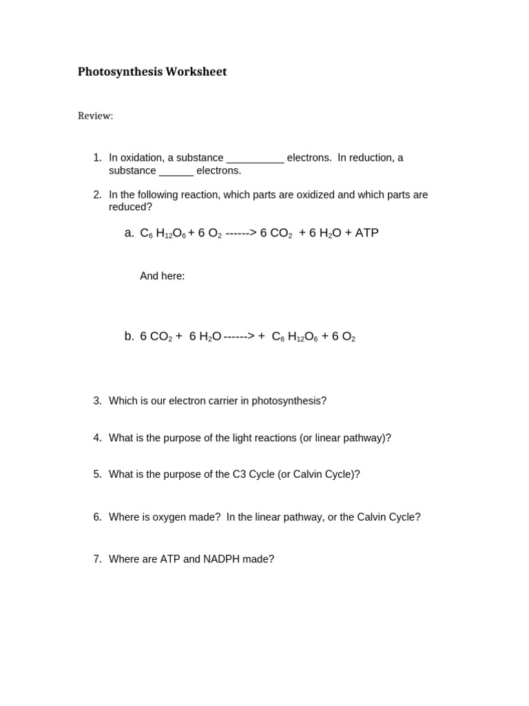 Photosynthesis Worksheet | PDF