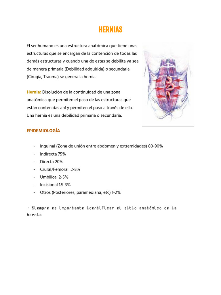 Hernias | PDF | Abdomen