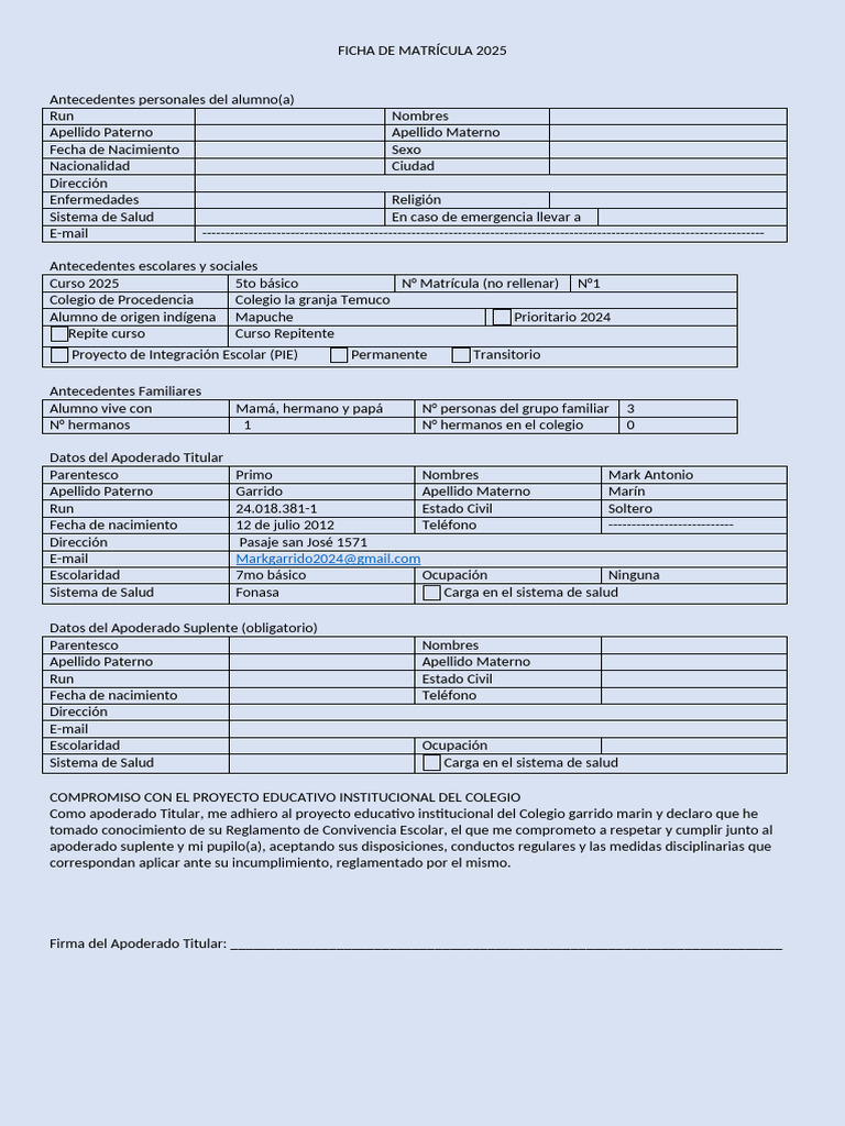 Formulario-Matricula-Word | PDF