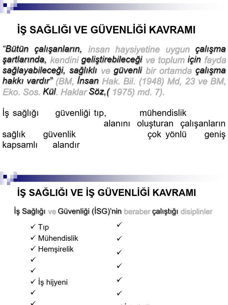 Isg 2 Guvenlik Kulturu Veisg Mevzati | PDF