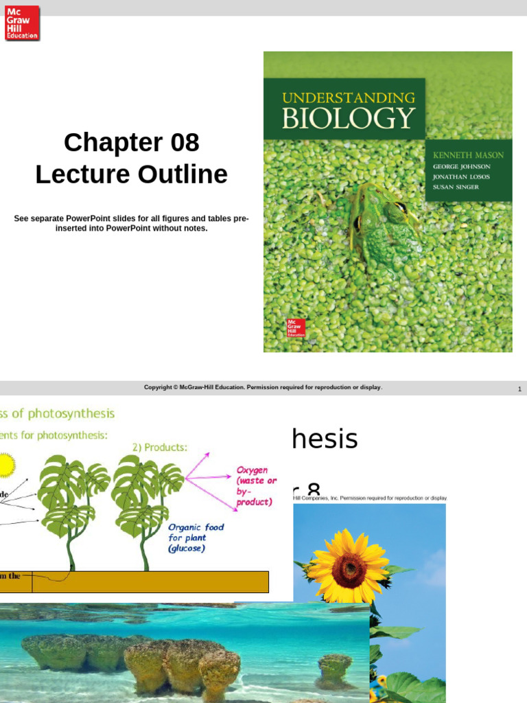 Chapter 8 Power Point (GBI)-1 (2) (1) | PDF | Photosynthesis | Chlorophyll