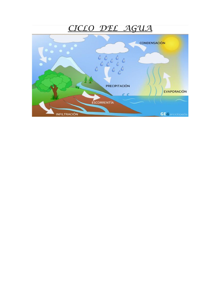 Ciclo Del Agua | PDF