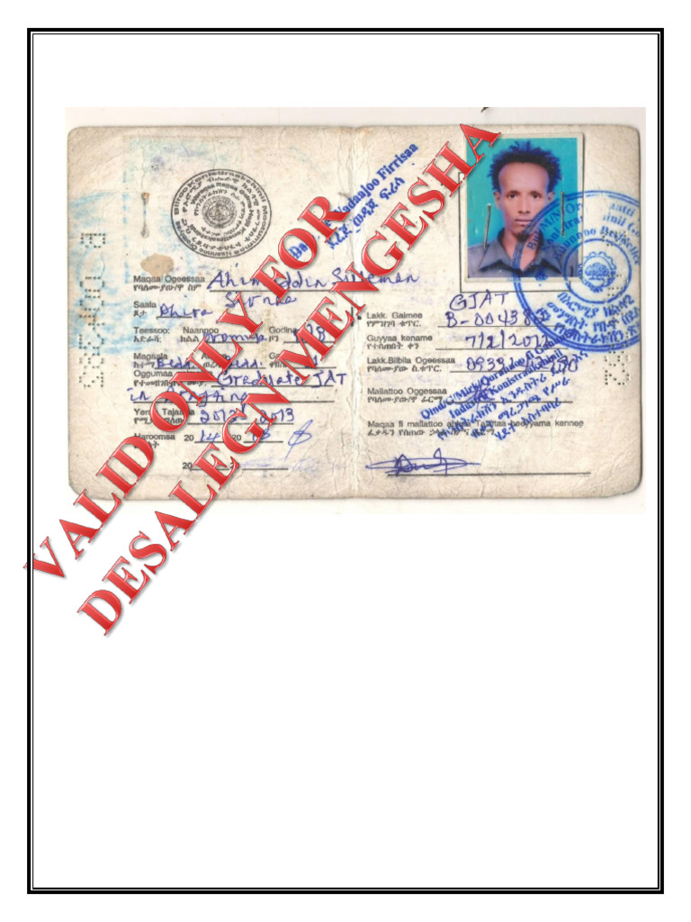 Desalegn Mengeha Lys | PDF