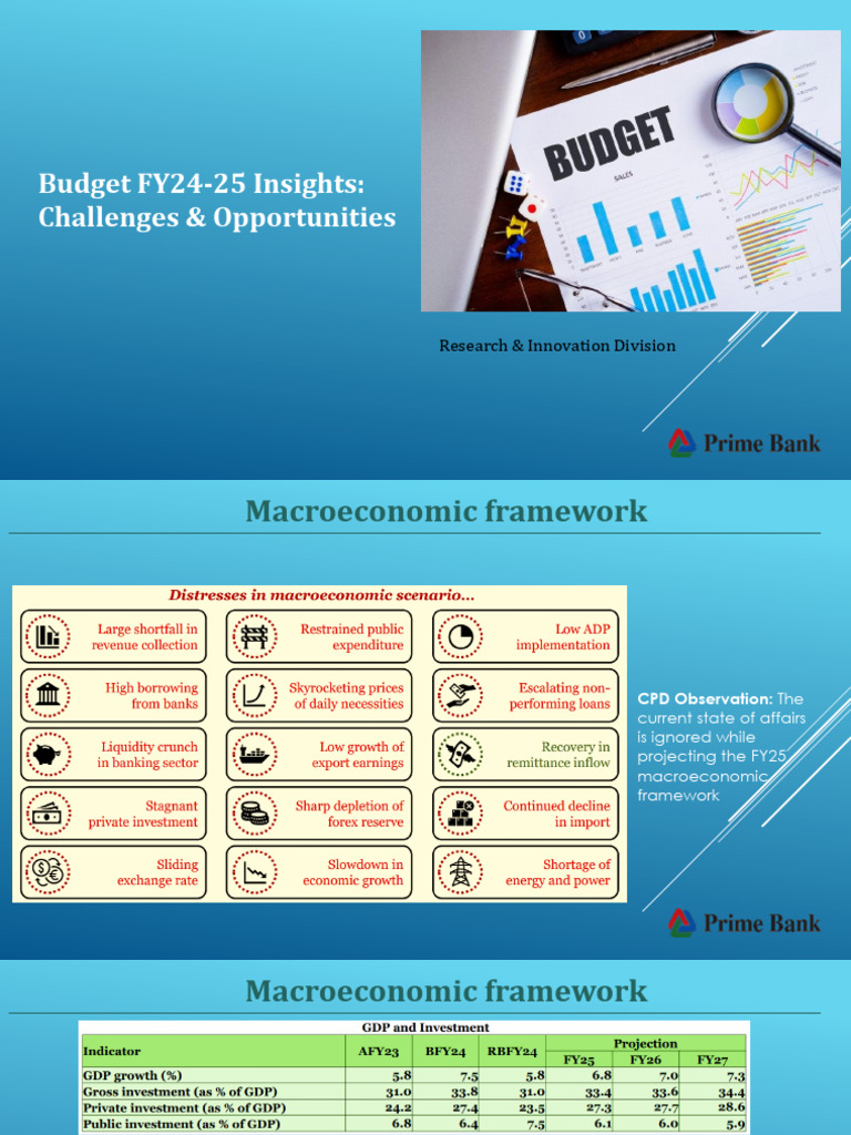 Budget Insights FY24-25 - Challeneges and Opportunities | PDF ...