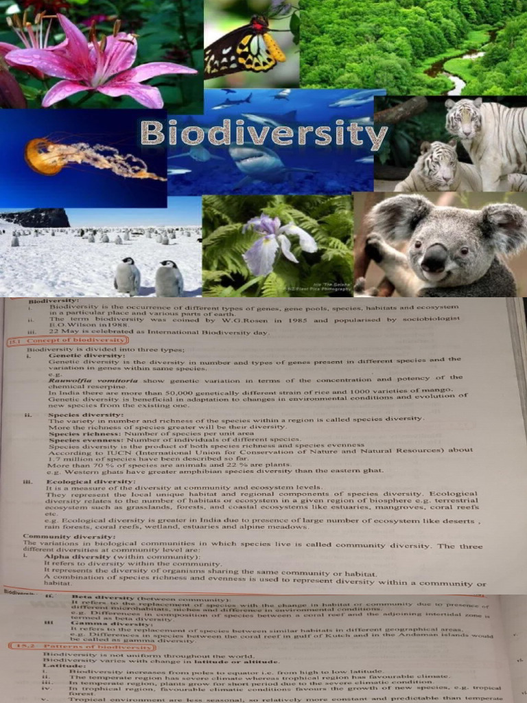 Biodiversity | PDF
