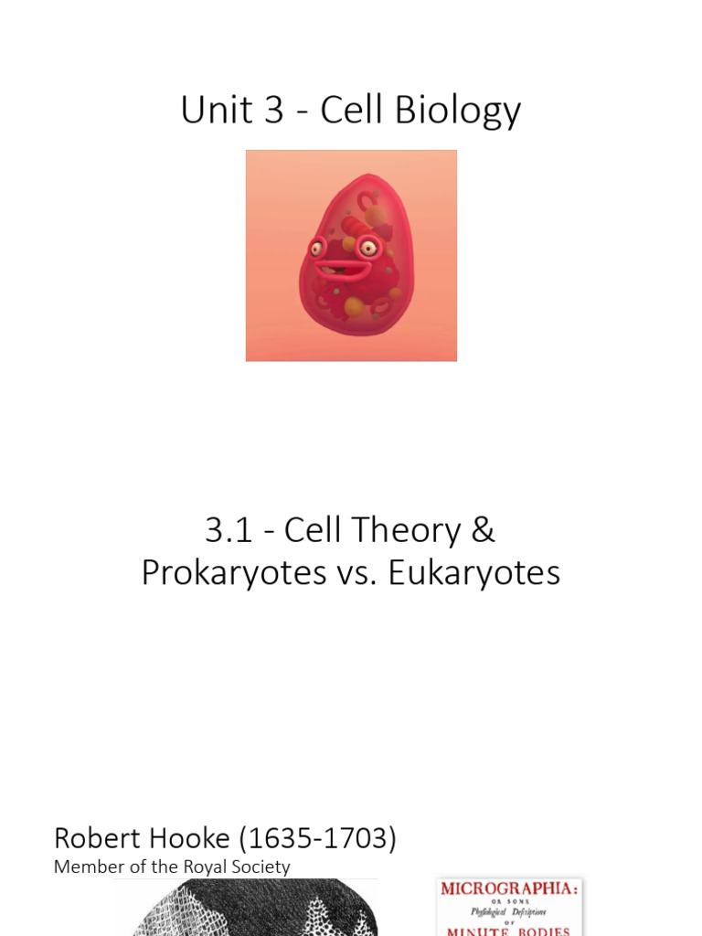 3.1 Cell Theory-1 | PDF | Cell (Biology) | Microscope
