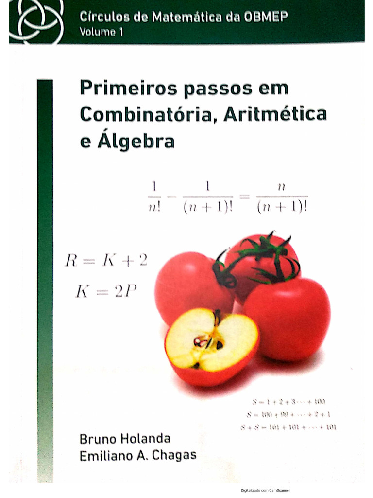 Primeiros Passos em Aritmética, Álgebra e Combinatória | PDF