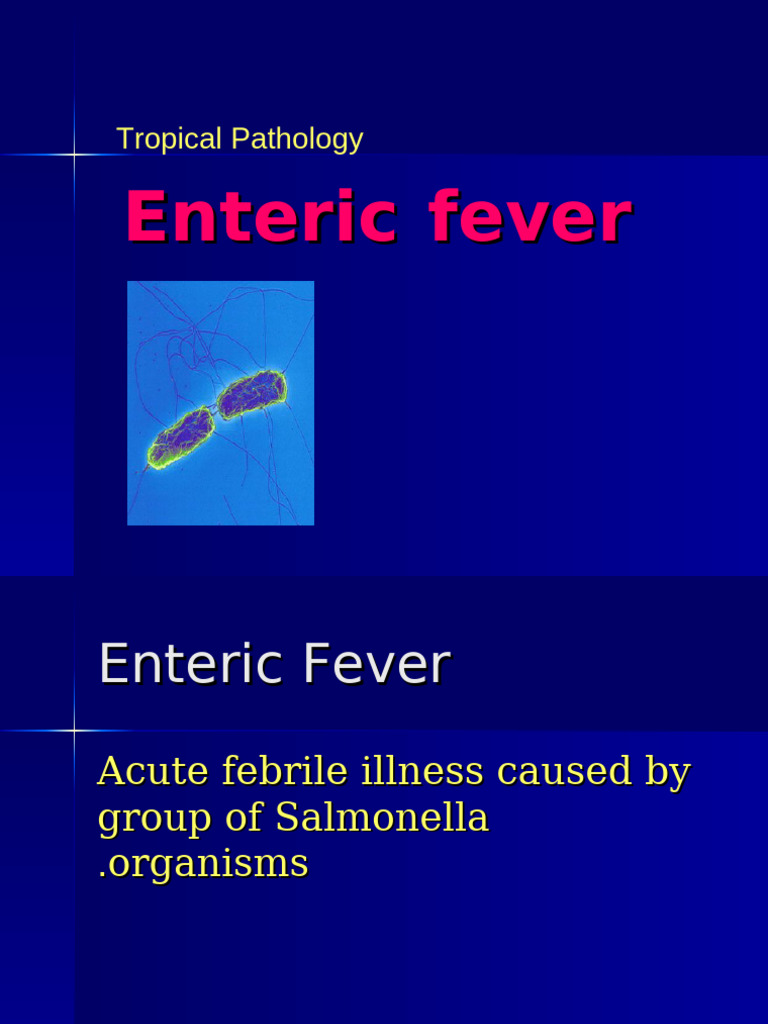 Enteric Fever Master | PDF | Salmonella | Gastrointestinal Tract