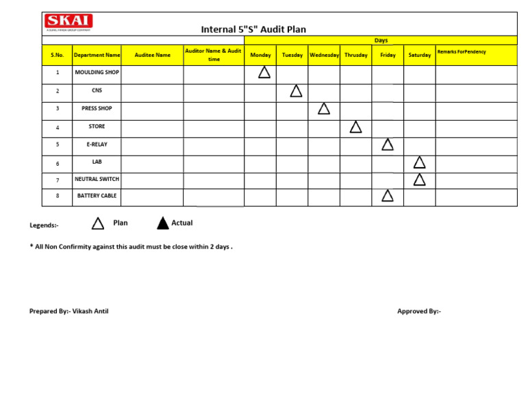 Internal 5S Audit Plan | PDF