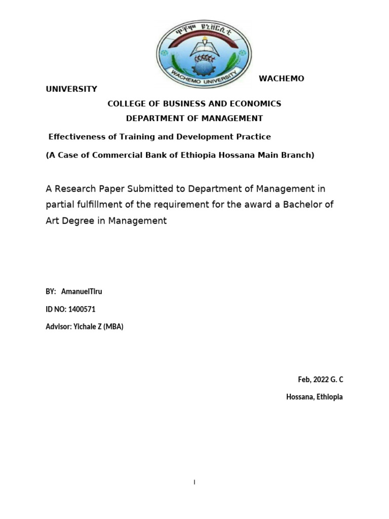 5'-AMANUEL TIRU (1) | PDF | Data | Employment