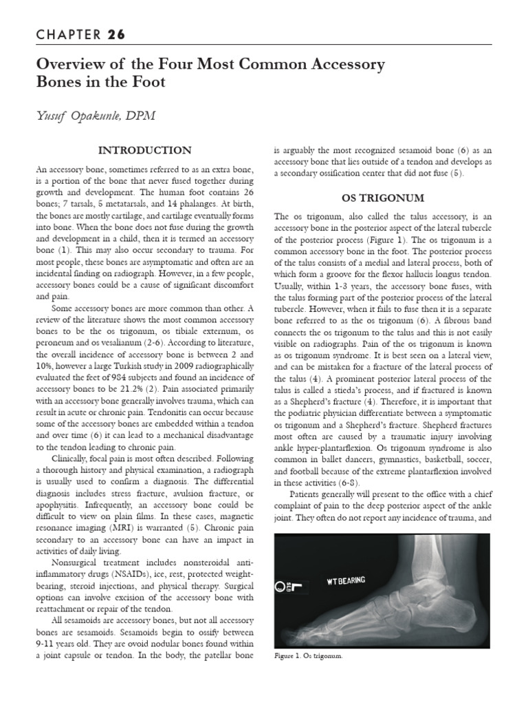 Accessory bone | PDF | Foot | Ankle