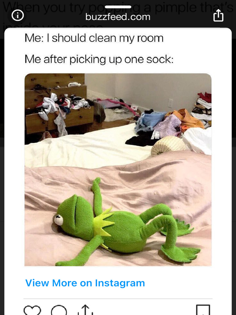 Silly Kermit | PDF
