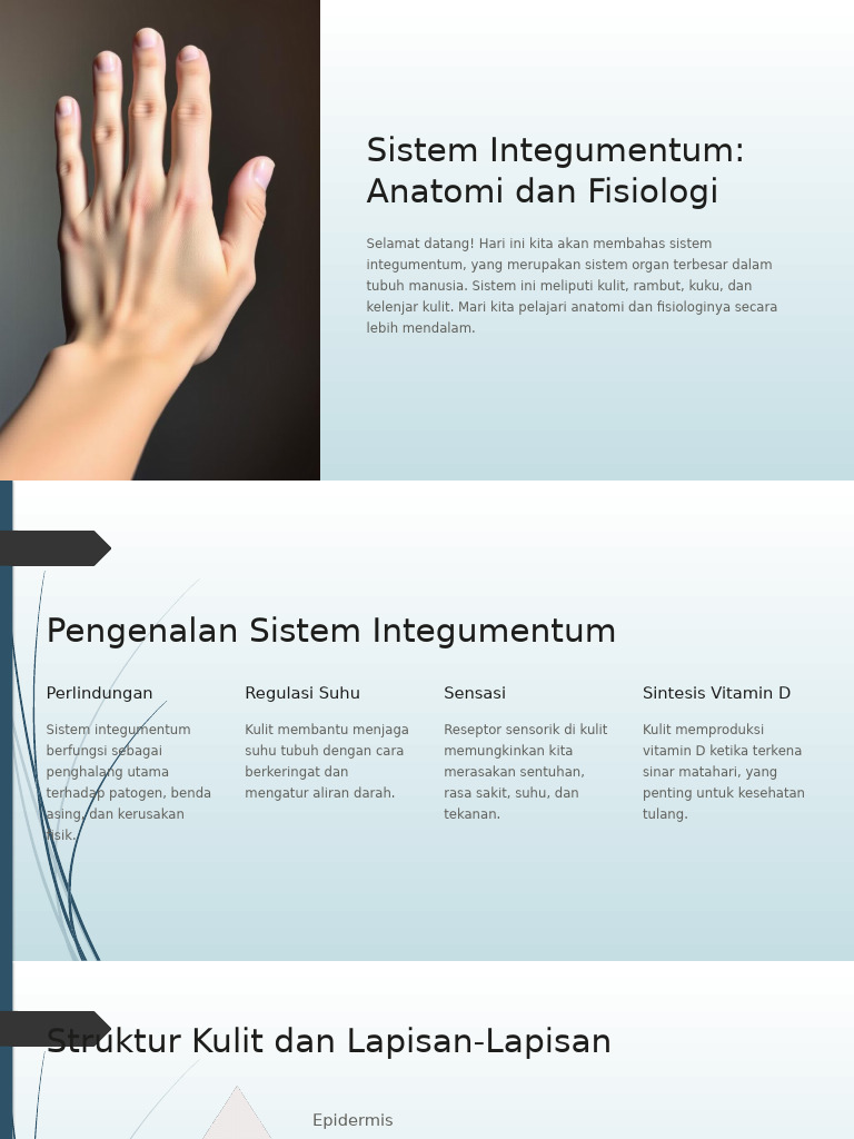 Sistem-Integumentum-Anatomi-dan-Fisiologi | PDF