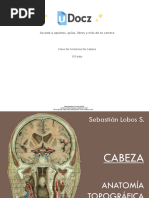 Region Superciliar ANATOMIA 2 FOLP | PDF | Anatomía humana | Cabeza y ...