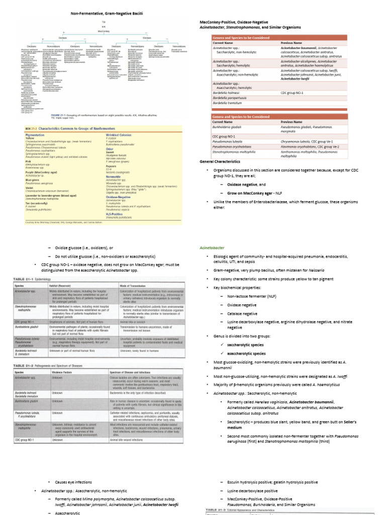 Non Fermentative Gram Negative Bacilli | PDF | Pseudomonas Aeruginosa ...