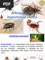 Chiroptera | PDF | Murciélago | Zoología