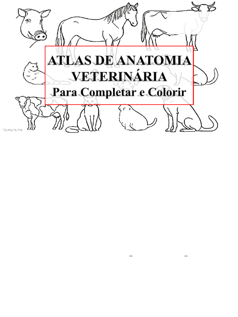Atlas de Anatomia Veterinária (1 Edição) 2019 | PDF