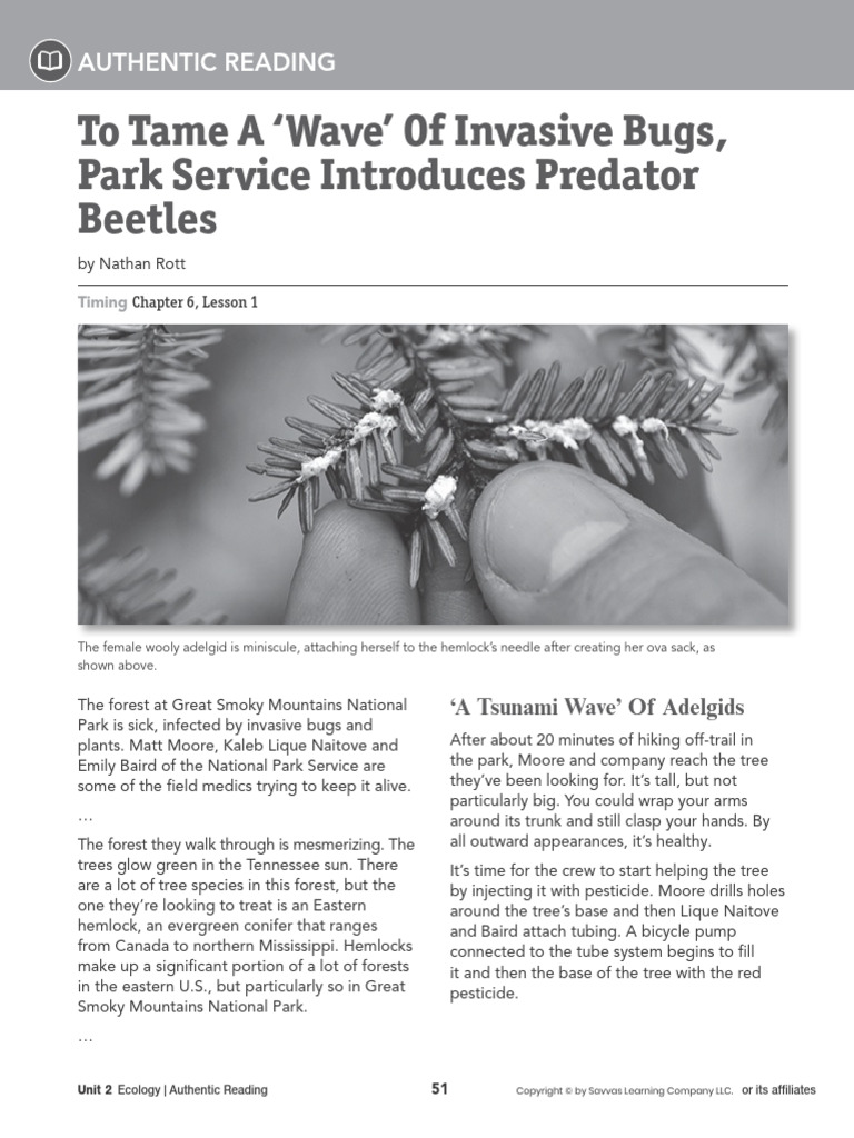 BIO_U02_PBL_Authentic_Reading | PDF | Trees