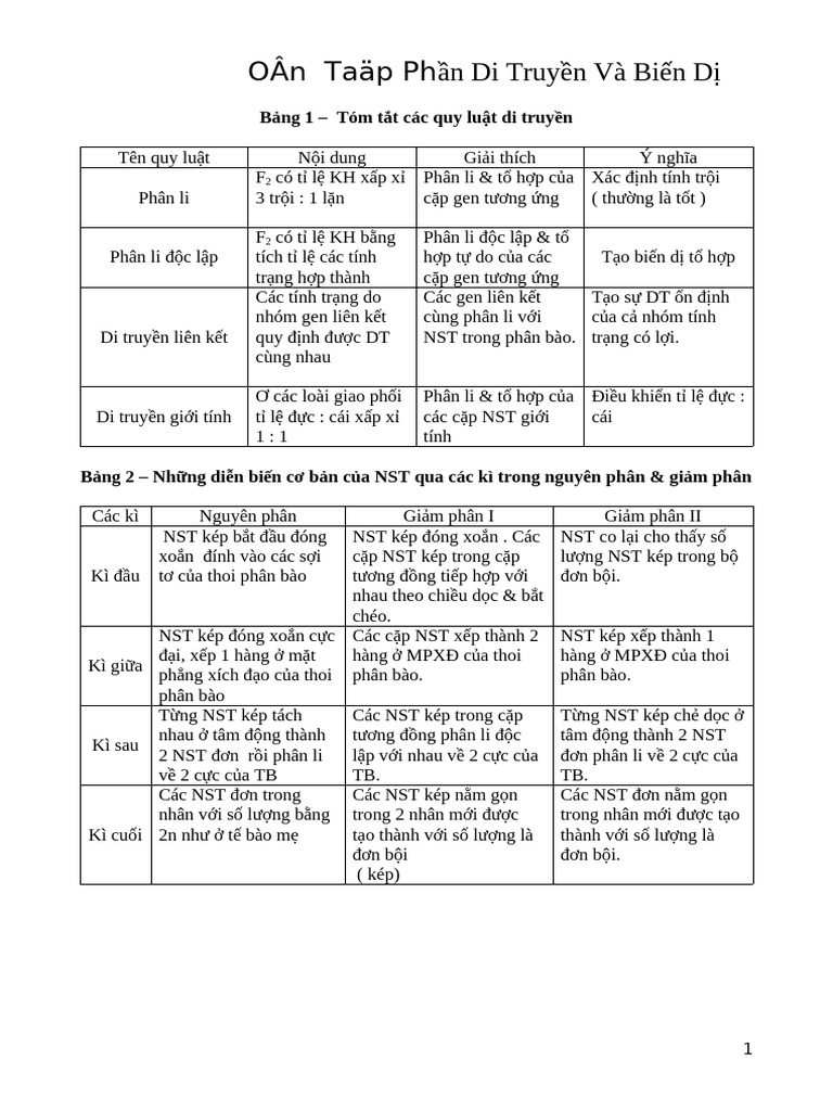 Ôn tập giữa hk1 | PDF
