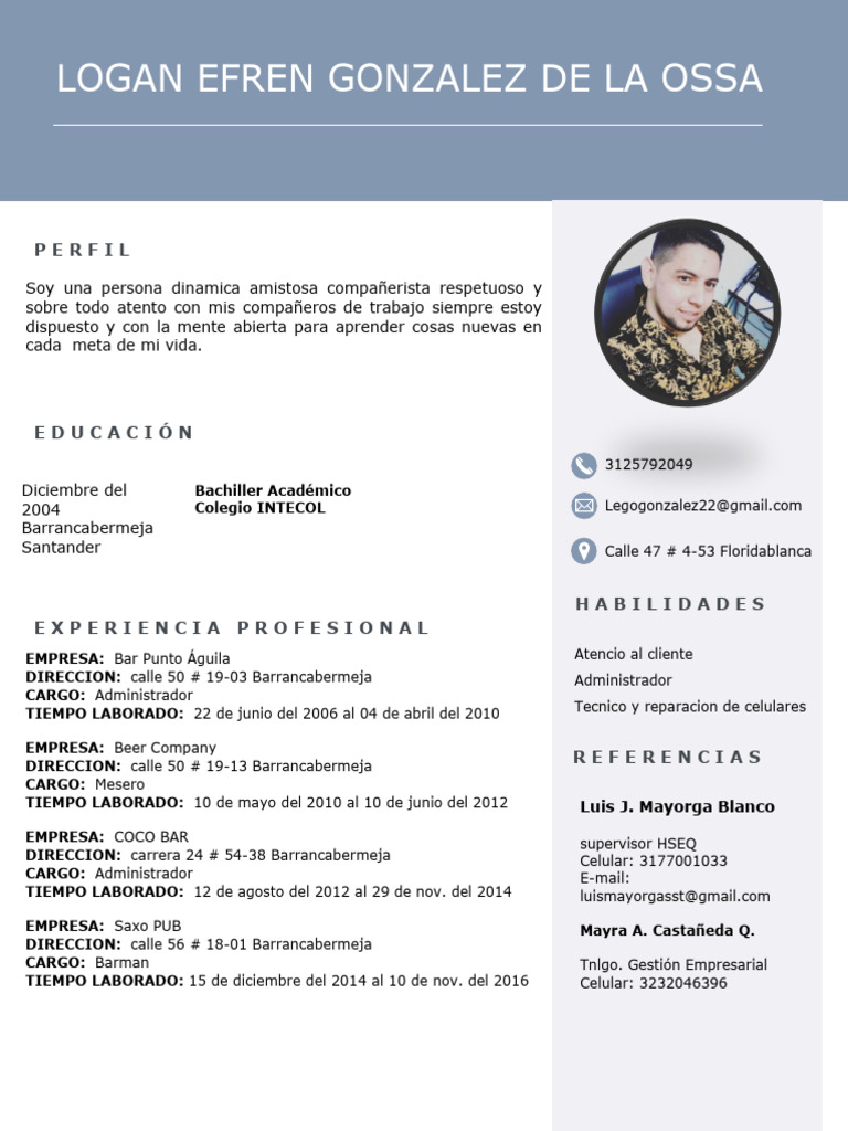 Hoja de Vida Logan Efren | PDF