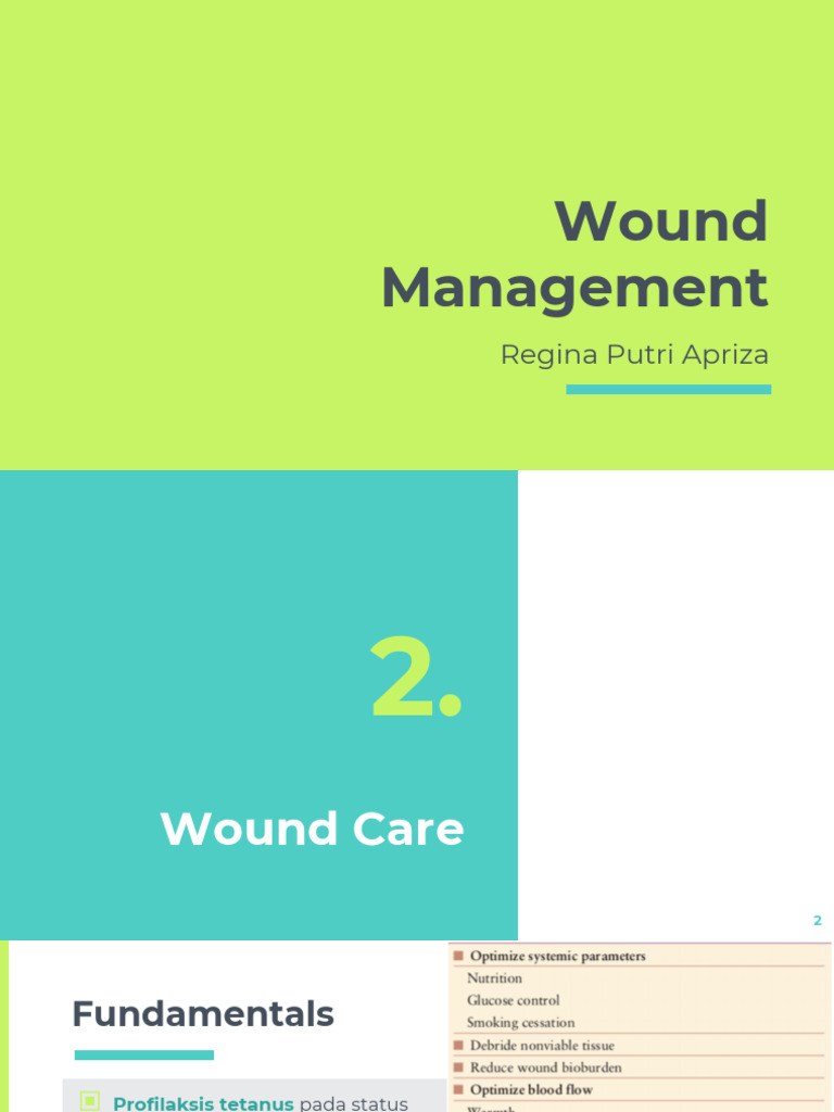 Wound Management | PDF