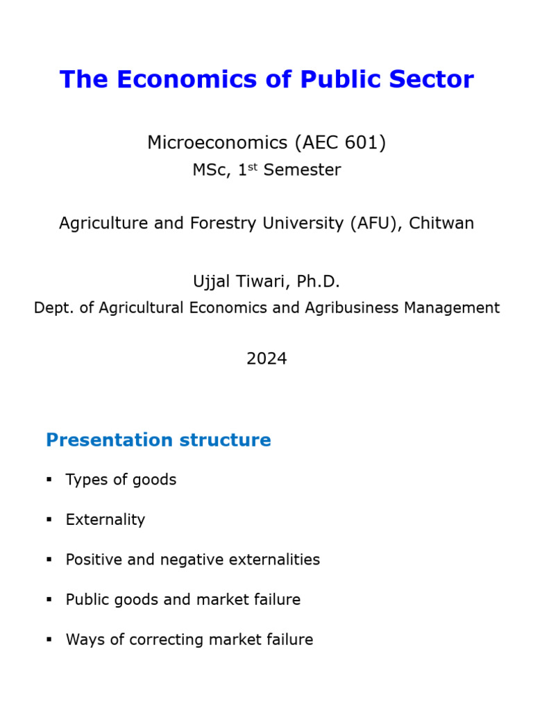 Public Sector Economics: Goods and Externalities | PDF | Externality ...