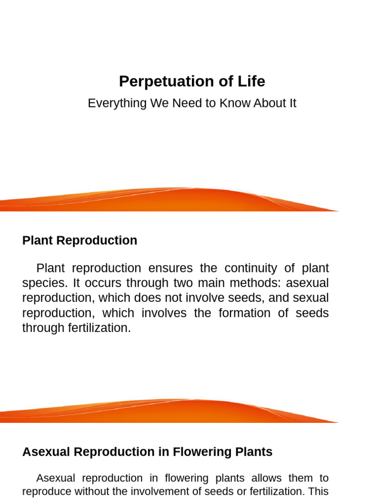 Perpetuation of Life | PDF | Plant Reproduction | Genetic Engineering