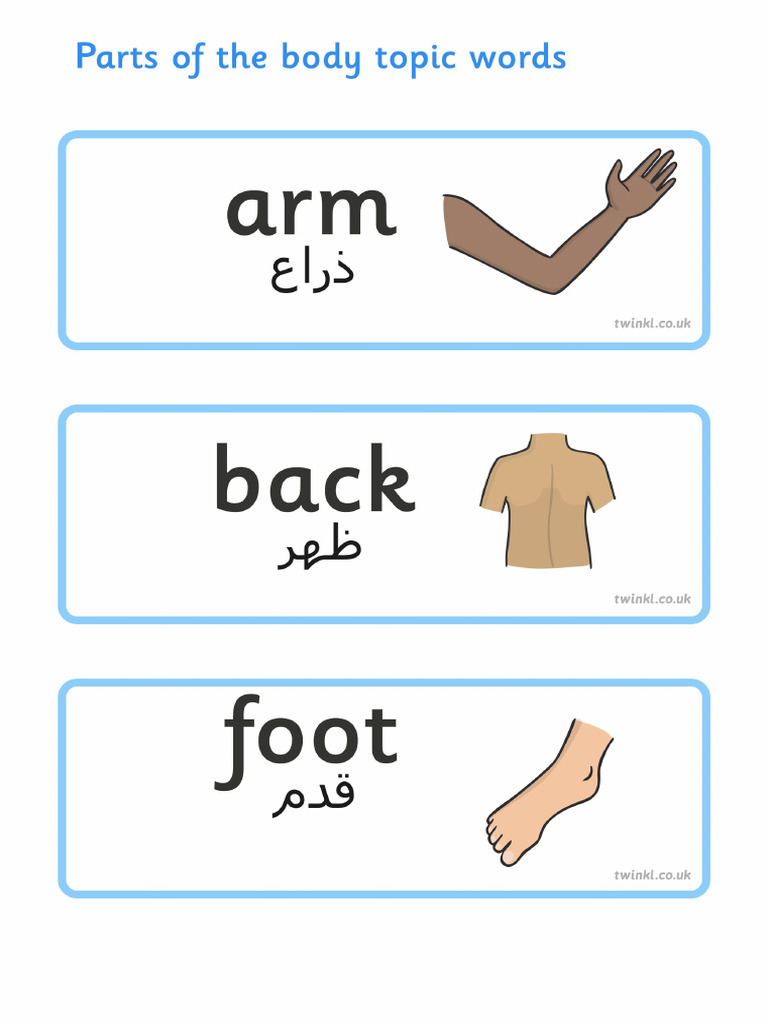 Parts of The Body Topic Words Arabic | PDF