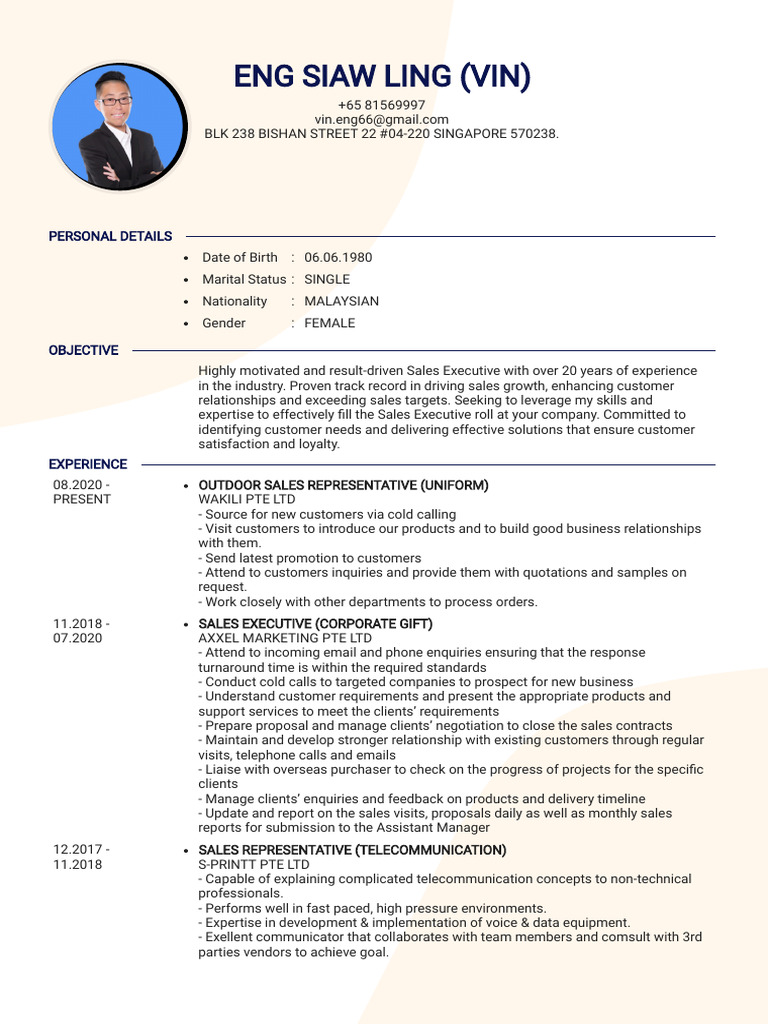 VIN ENG Sales Executive Resume | PDF | Sales | Telecommunications