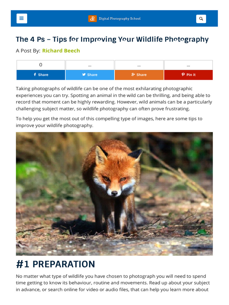 Photography - 4 Tips To Improve Your Wildlife Photography | PDF | Camera | Autofocus
