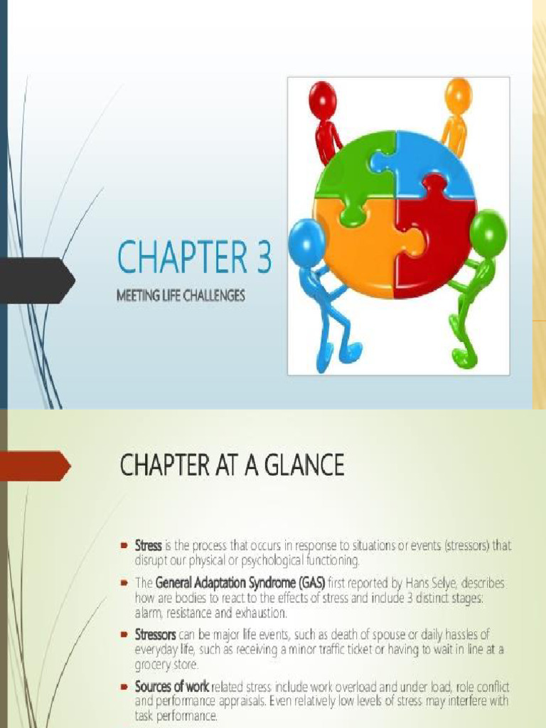 Chapter 3 Meeting Life Challenges | PDF