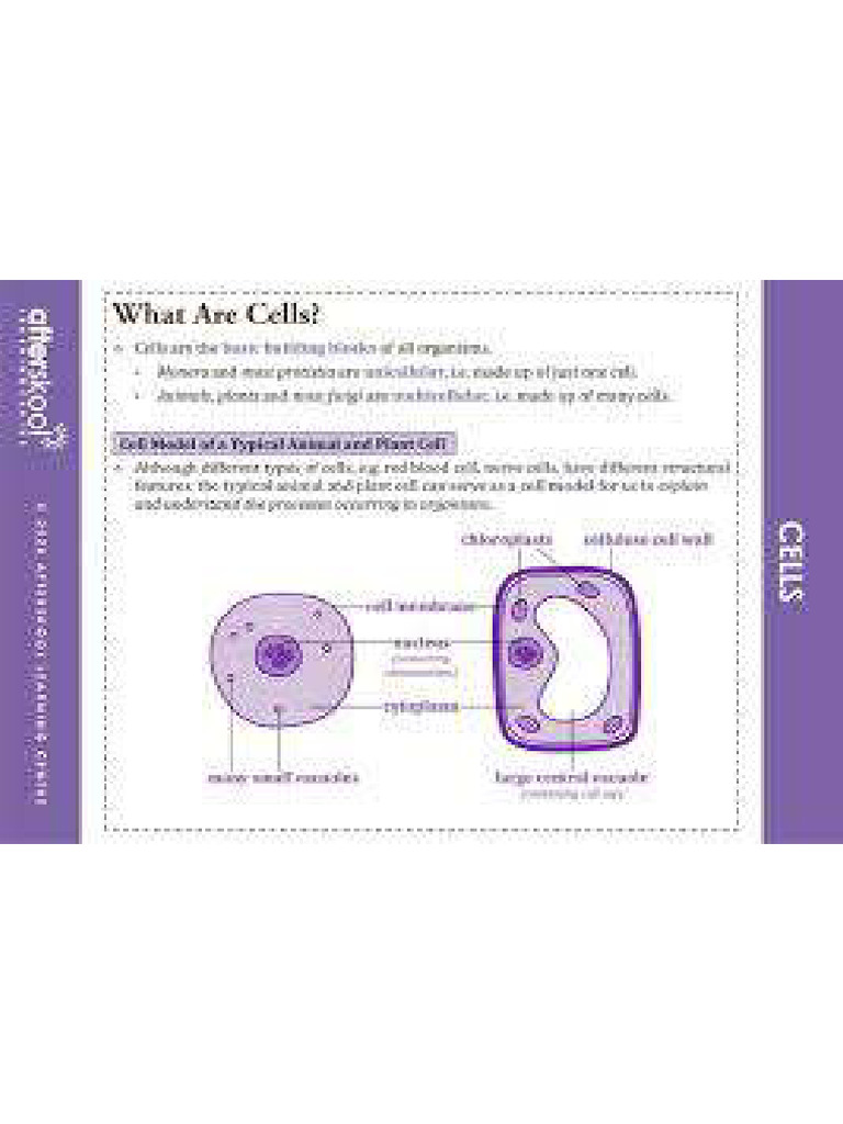 Cells School Notes | PDF