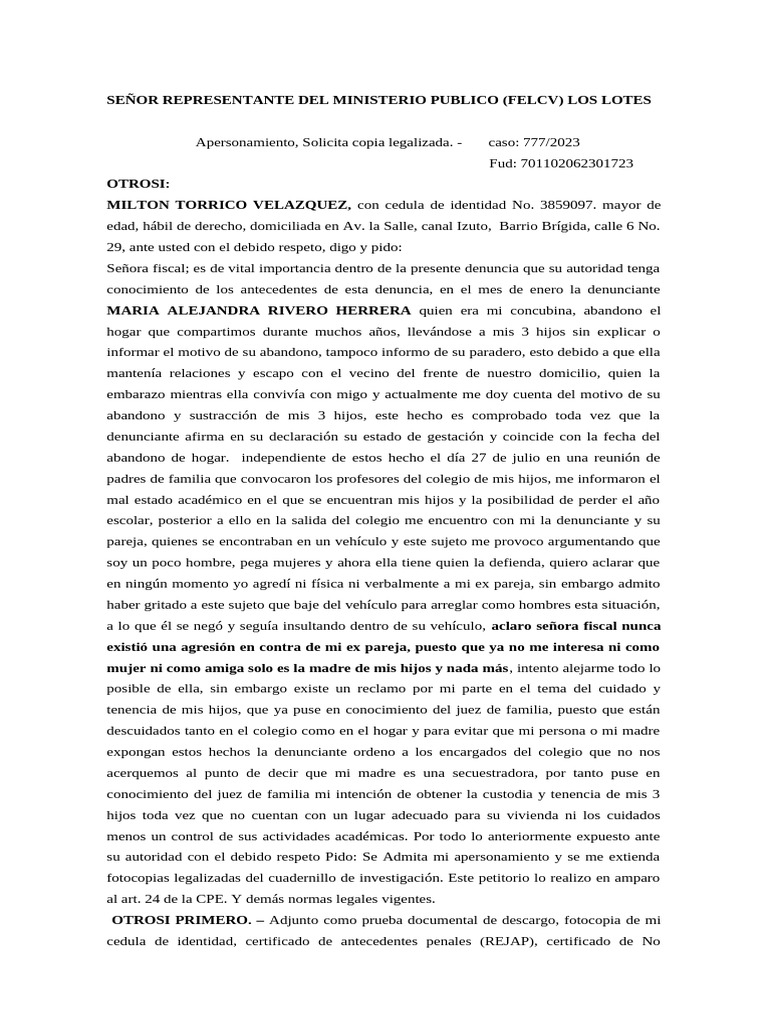 denuncia despojo dameris | PDF