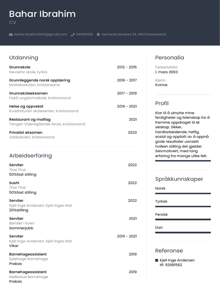 CV Bahar Ibrahim | PDF