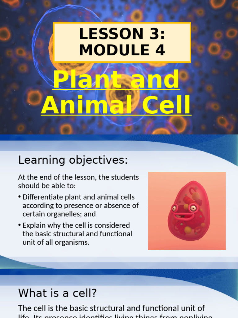 Plant and Animal Cell - Cell Theory 1 | PDF | Cell (Biology ...