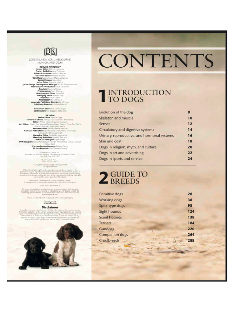 Dog 2 | PDF