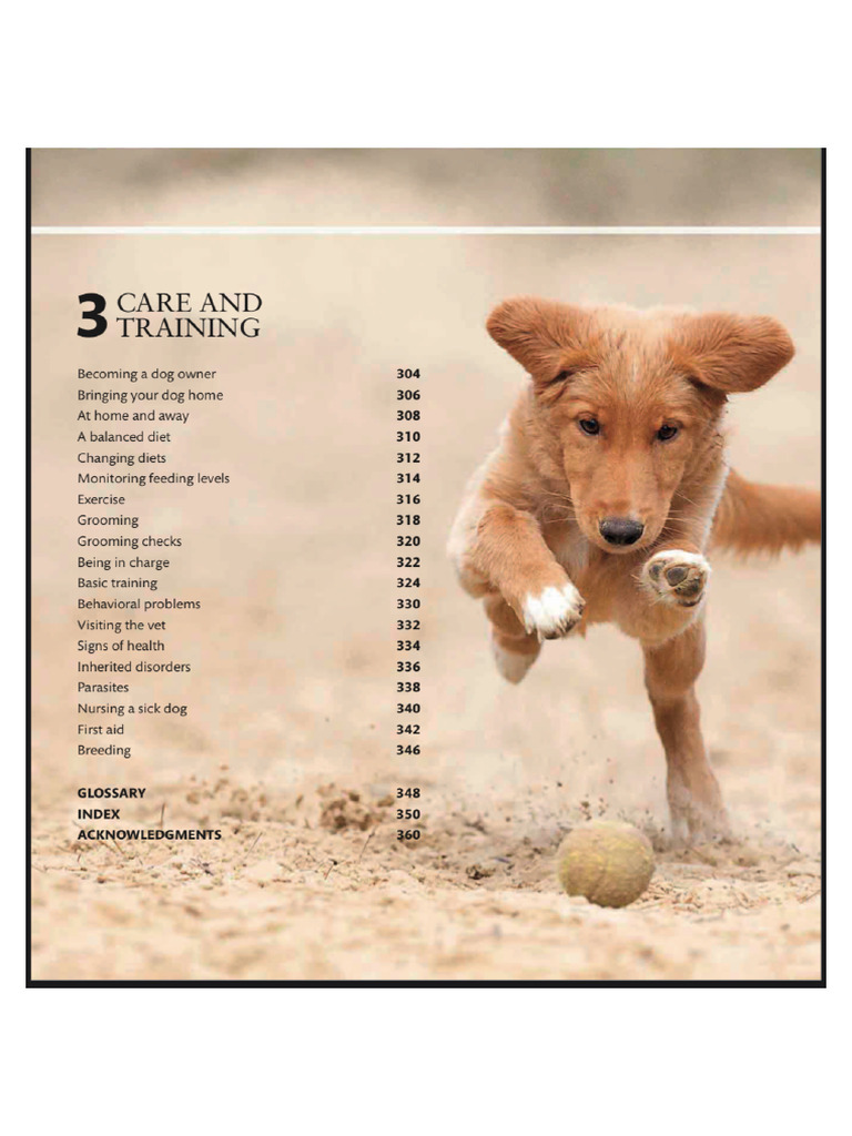Dog 3 | PDF