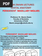 Matrix Band Placement: Class II Amalgam Restoration Operative Videos ...