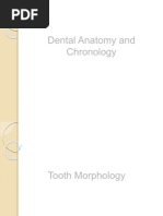 Deciduous Teeth Identification Guide | PDF | Dental Anatomy | Tooth
