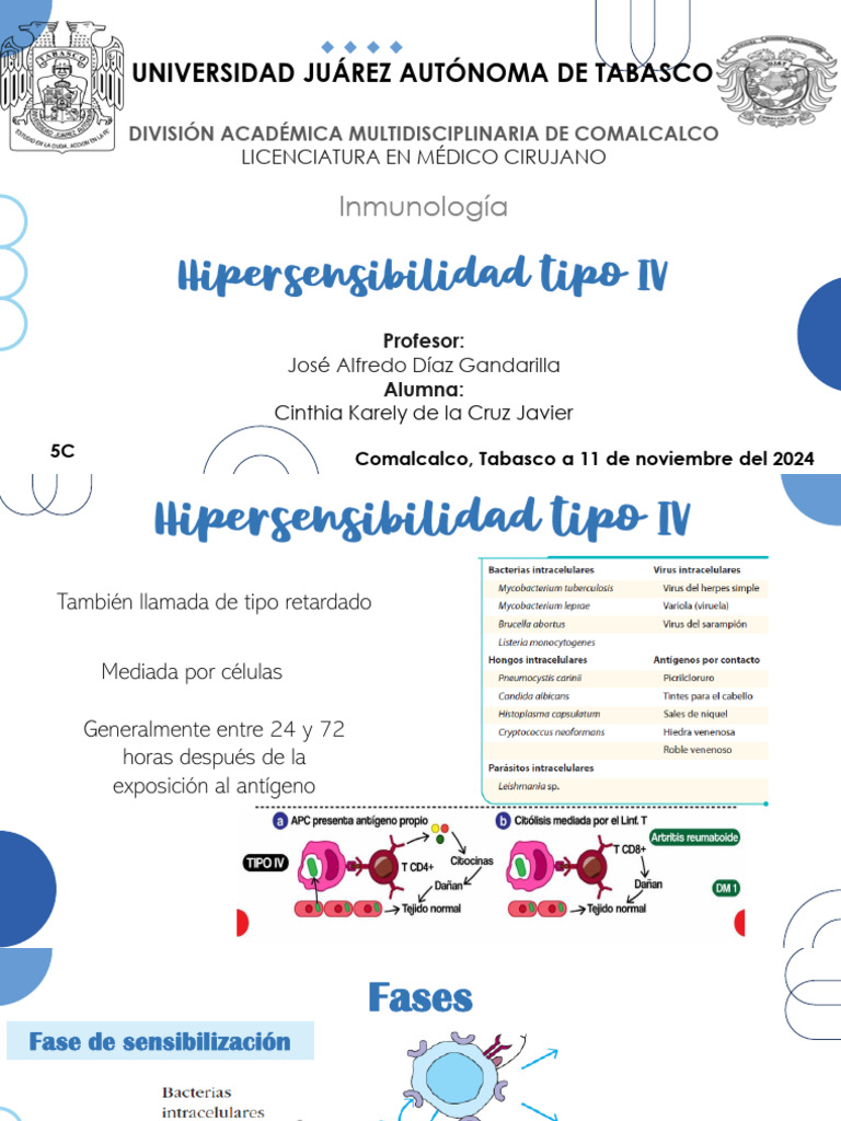 Hipersensibilidad Tipo IV | PDF | Sistema inmune | Especialidades Medicas