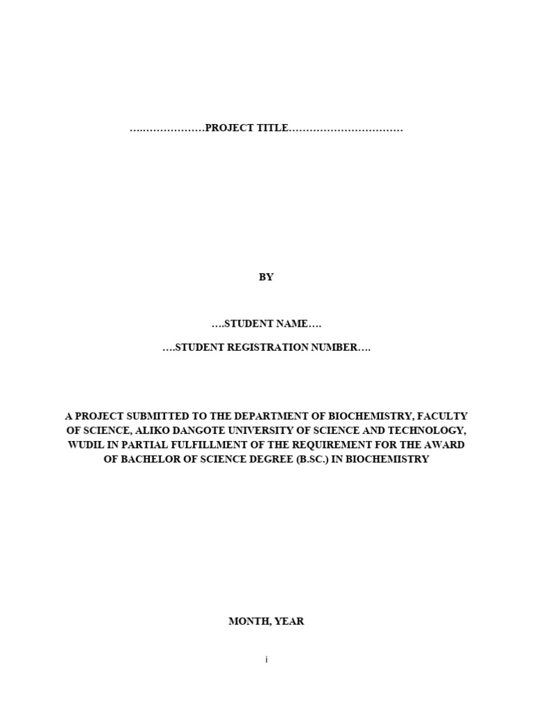 ADUSTECH Project Preliminary Pages | PDF